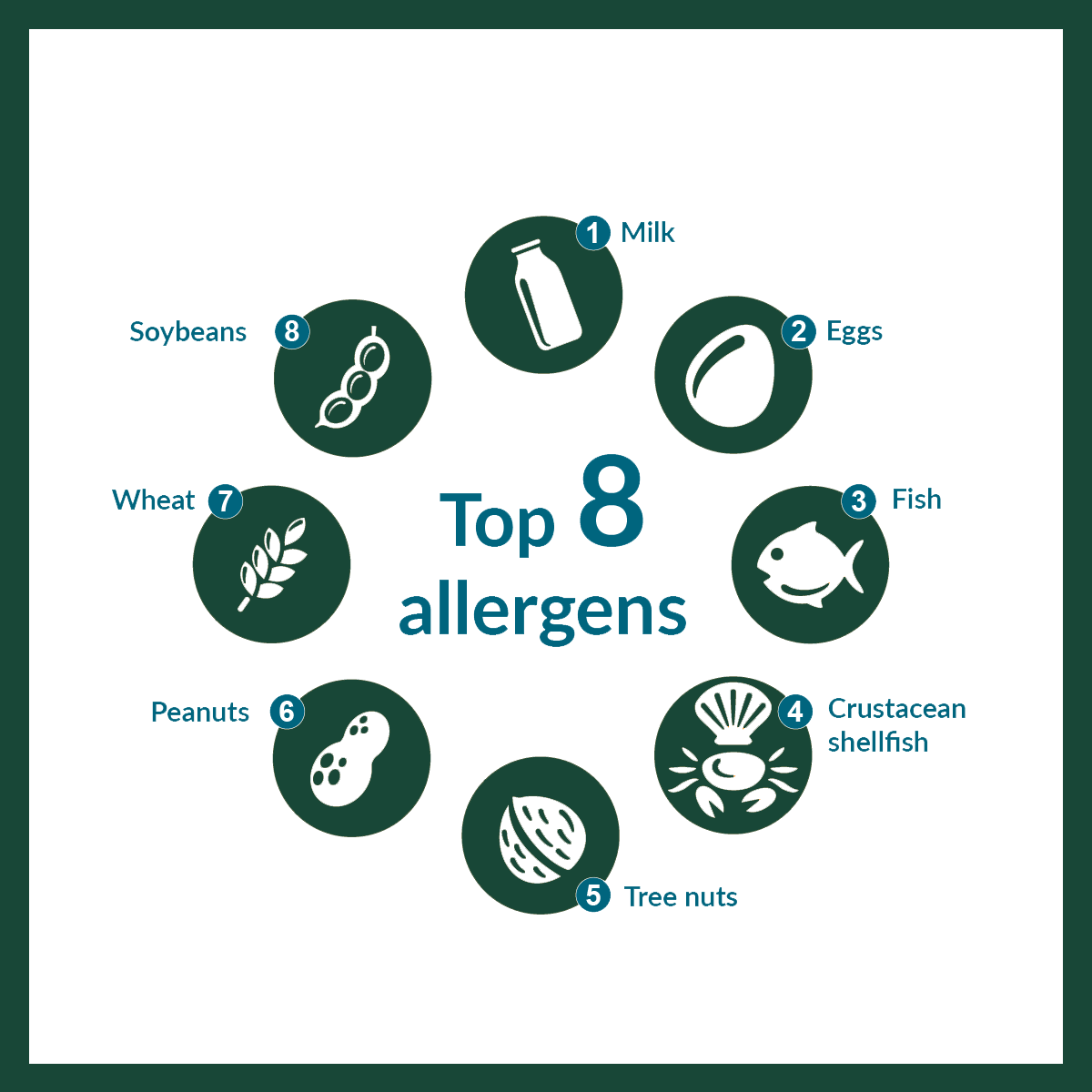 The 'Big 8 Foods' that account for 90% of Food Allergies – Aether ...
